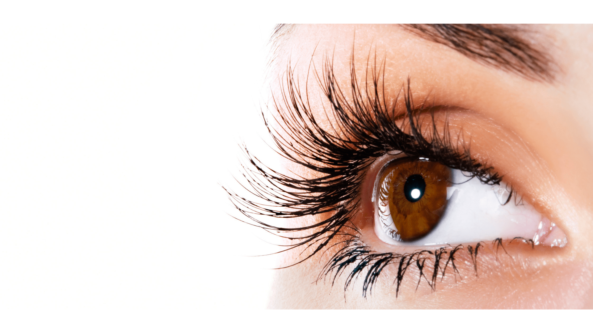 Abnormal Eyelashes Reston | NewView Eye Center - NewView Eye Center Abnormal Eyelashes Reston | NewView Eye Center - NewView Eye Center